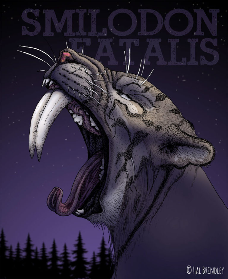 Smilodon Reconstruction – Naturalist Studio
